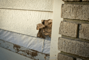 Install Siding Over Existing Siding: Safe or a Mistake?