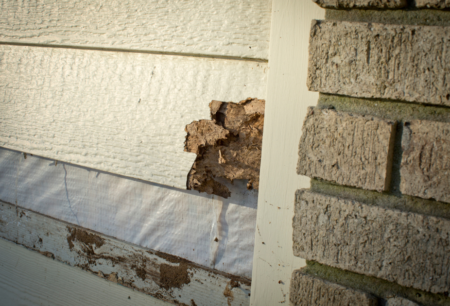 Installing New Siding Over Old: Is It Safe or a Risky Shortcut?